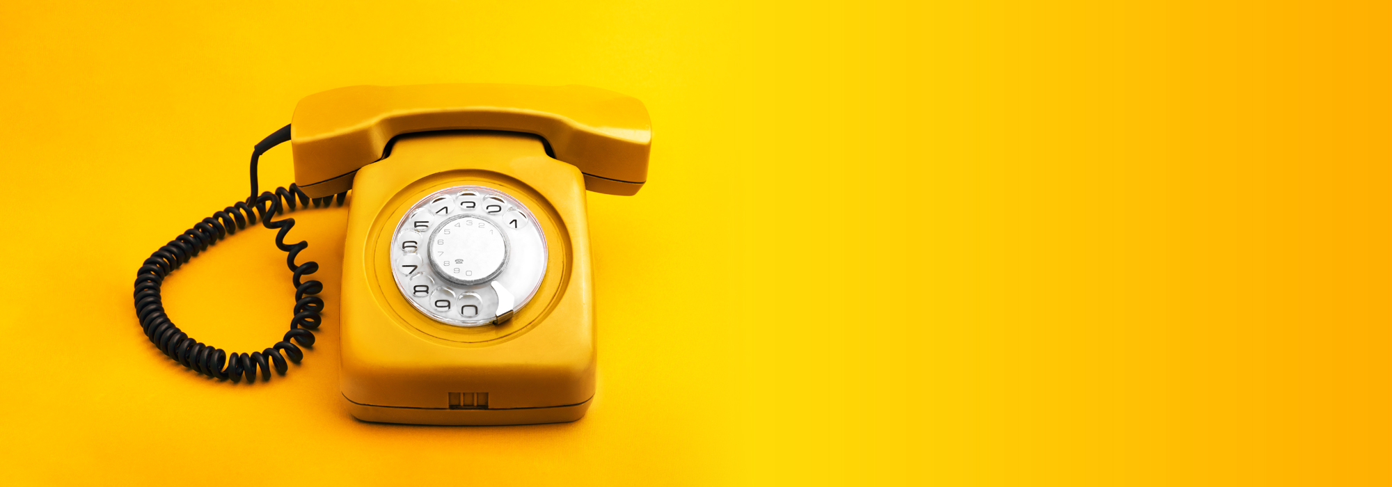 Contact Us - Lensi Photography